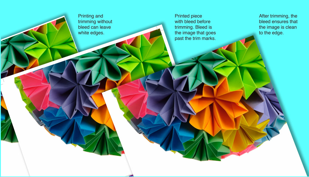 What is a Bleed and Why is it Important for Printing?